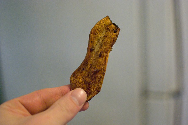 Bolete Recipes – Cascade Mycological Society