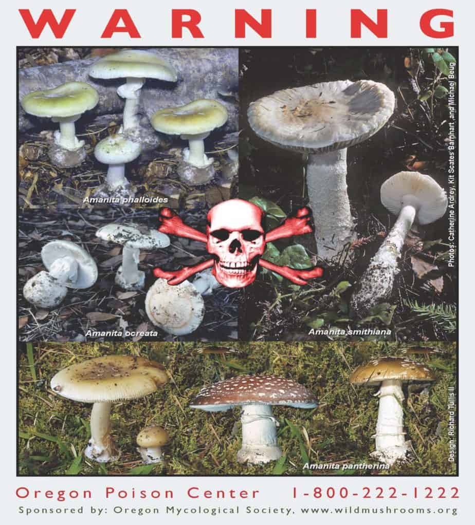 Mushroom Poisonings – Cascade Mycological Society