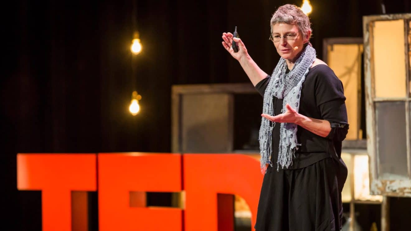 Talking It Through: A Story of Discovery about Tree Communication ...