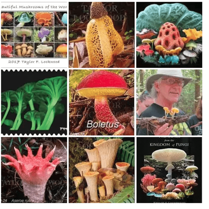 CMS Special Event – Taylor Lockwood Final Tour – Cascade Mycological ...