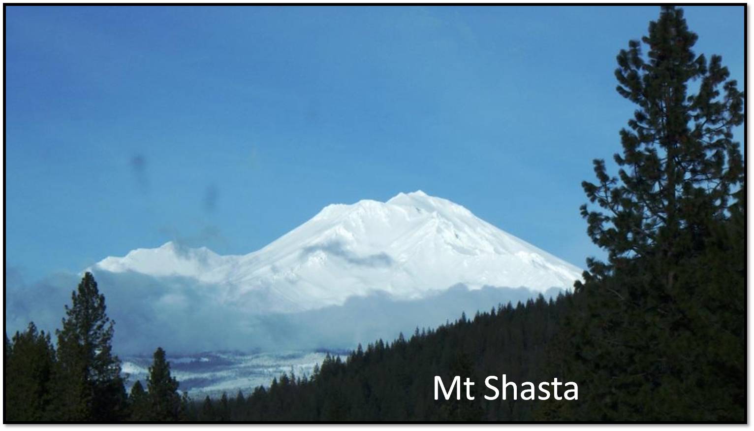 SOMA Camp – The good, the bad, and the ugly – Cascade Mycological Society