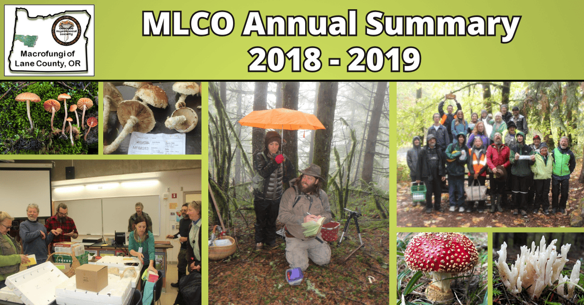 MLCO 2018-2019 Annual Summary – Cascade Mycological Society